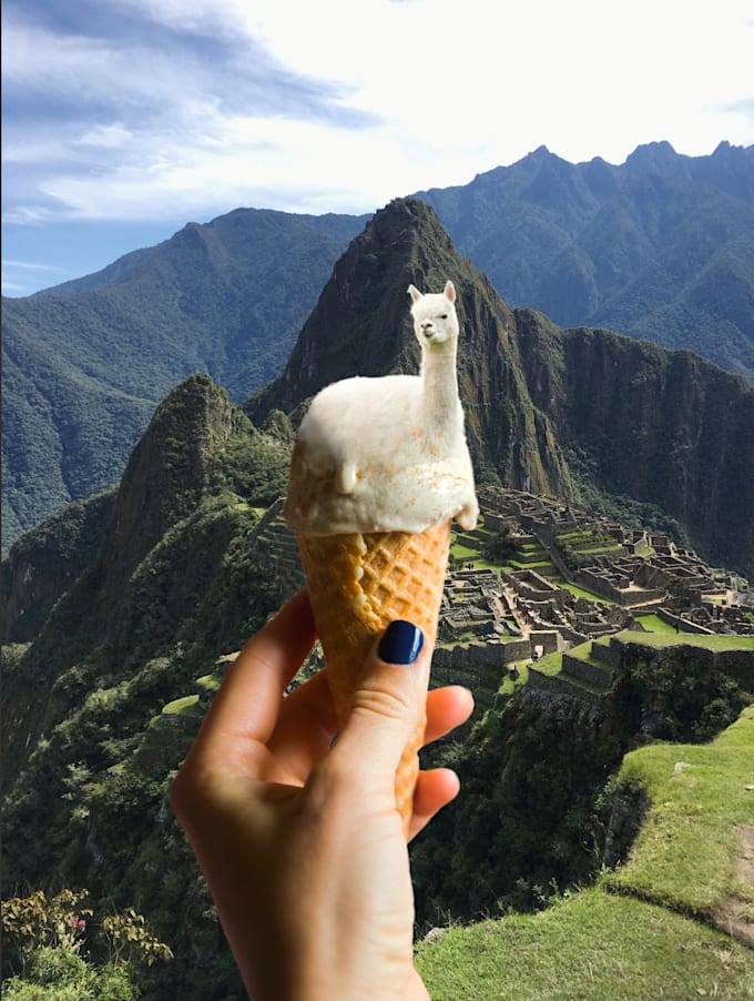 Create custom graphic design in adobe illustrator by Arianamolina619 ...