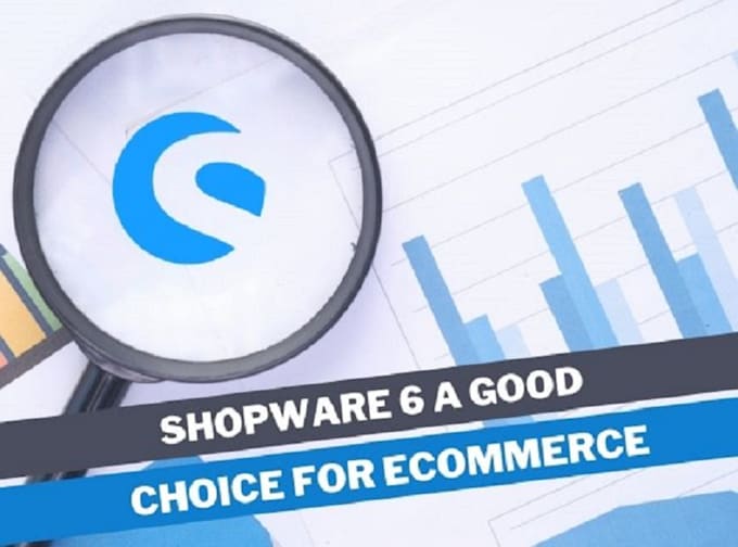 Build a custom shopware 6 store, plugin, theme, and fix shopware ...