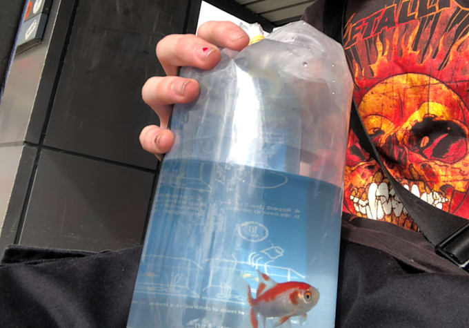 Earn mr jake 100 by Jakedallimore | Fiverr