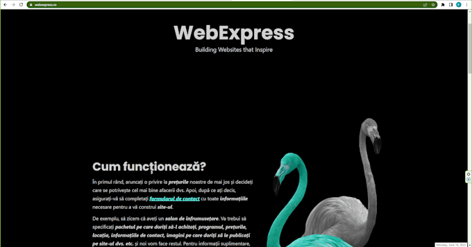 Help you scale your business with a stunning, solid website by ...