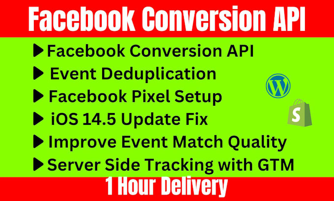 Setup or fix facebook pixel conversion api server side tracking with gtm by Digitalvision45 | Fiverr