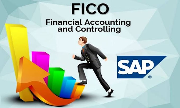 Provide sap fico training and support in projects