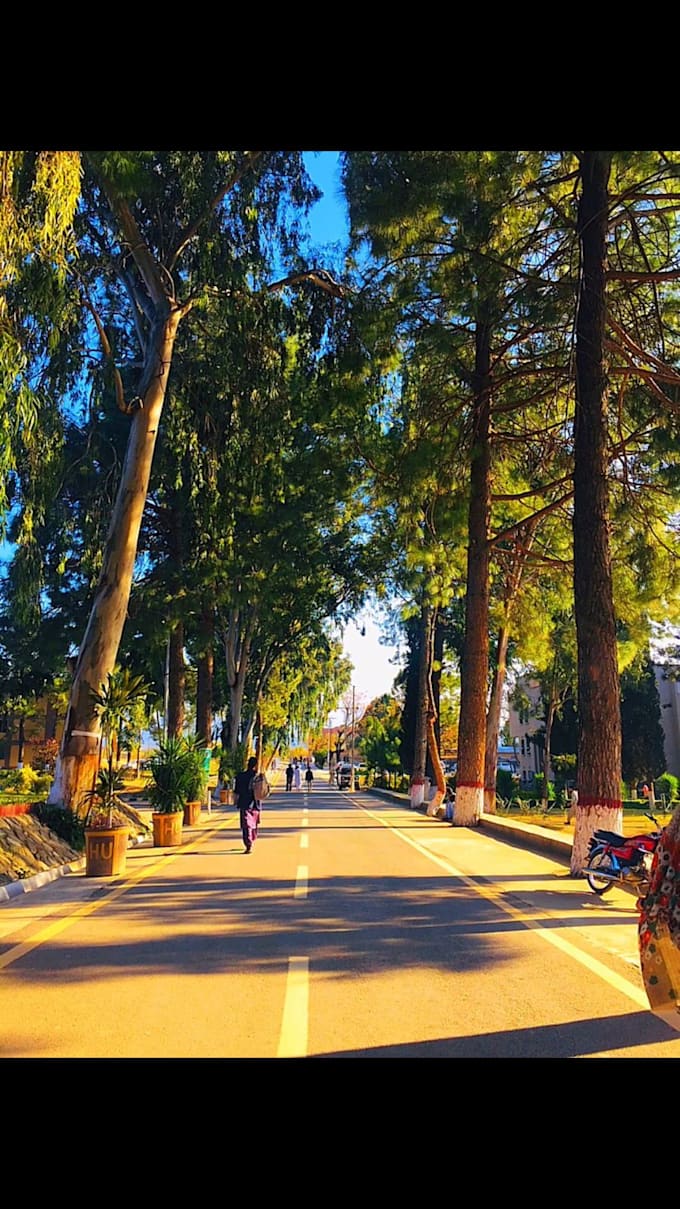 Edit your vedio and photos by Jiaafzal | Fiverr