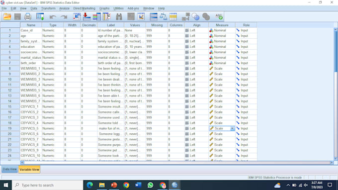 Provide statistical analysis services using ibm spss by Faizaiftikha891 ...