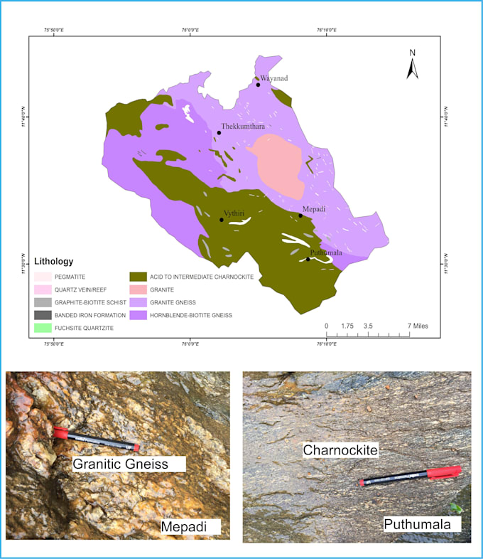 Do mapping for you by Arancastro17 | Fiverr