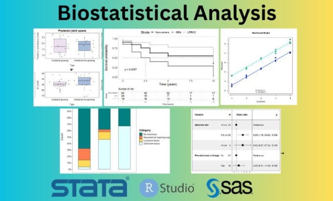 Do Biostatistical Analysis Of Your Research By Youssefrefaat13 Fiverr