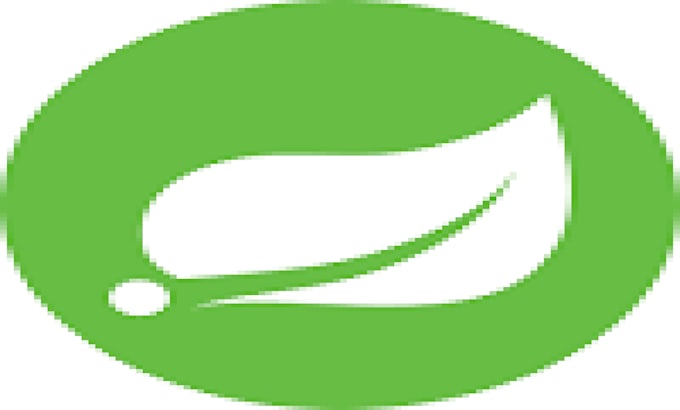 Develop secure highload spring boot applications by Iurser | Fiverr Develop secure highload spring boot applications by Iurser | Fiverr