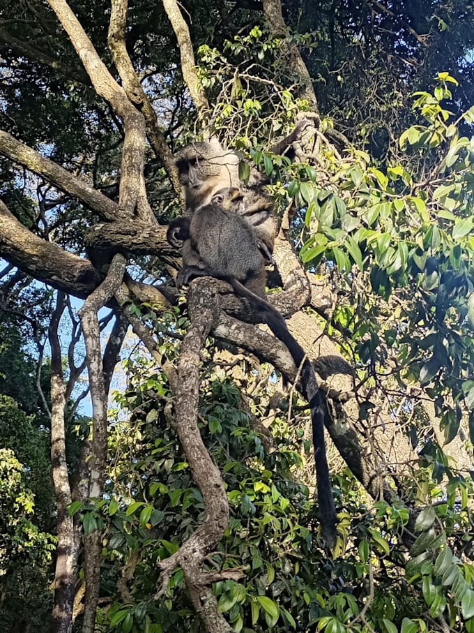 Kenyan captured photographic moments by Ericntwiga | Fiverr