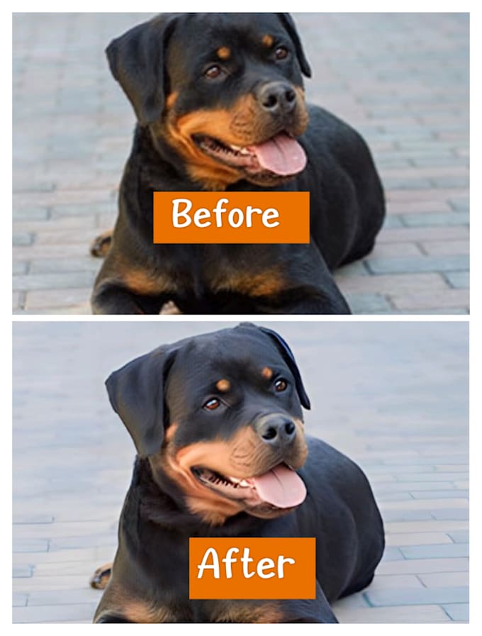 Enhance, improve and upscale low quality images and photos by ...