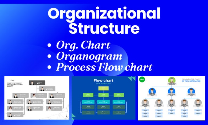 Create organizational chart and organogram in editable format by ...
