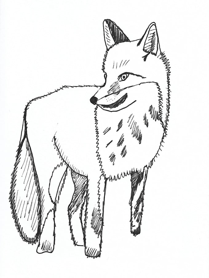 Draw anything you want in my style by Katykaboom | Fiverr