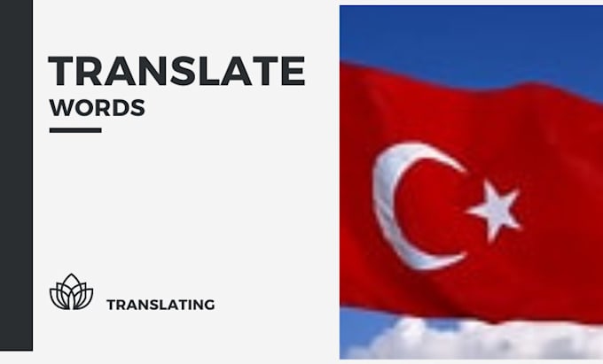 Translate english to turkish or turkish to english by Nieee25 | Fiverr