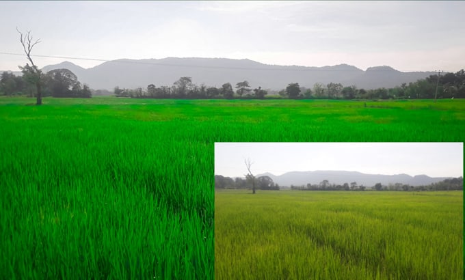Edit and retouch your landscape photos in photoshop by Lashan_kumara ...