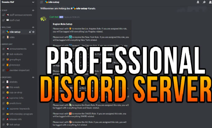 Create professional discord server setup with bot integration and ...