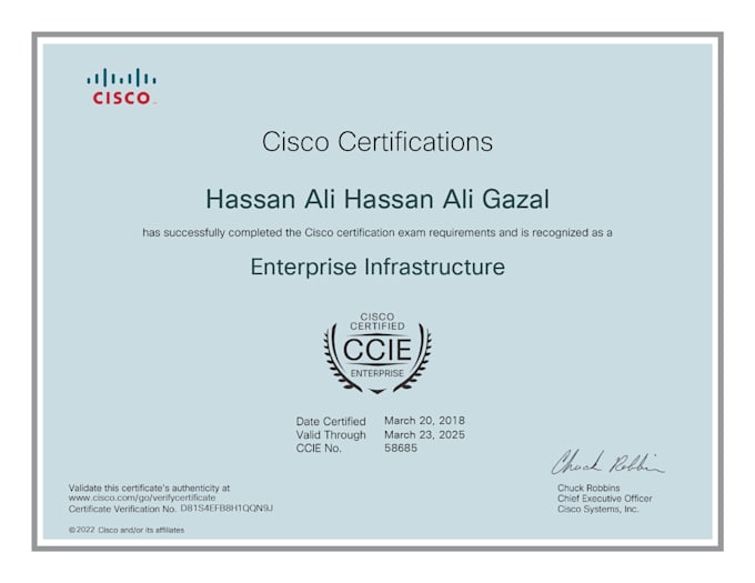 Give you network consulting, design, configuration, and troubleshooting ...