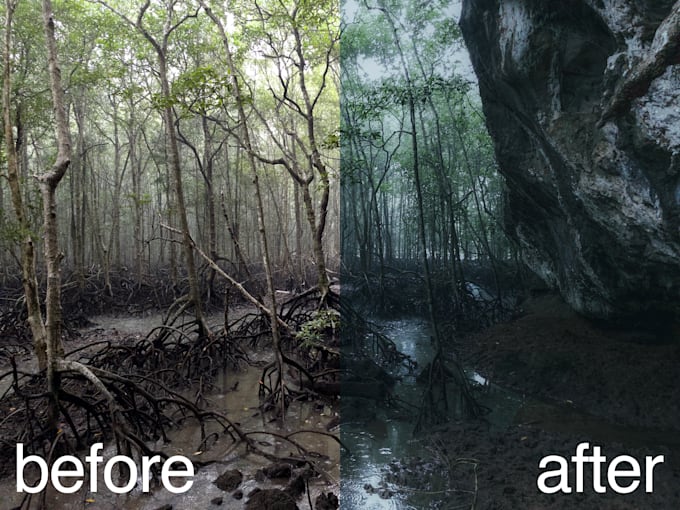 Make your visuals stand out with creative color grading by Affogatto ...