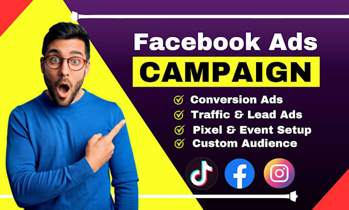 Setup meta facebook ads campaign, conversion ads, traffic ads with meta ...