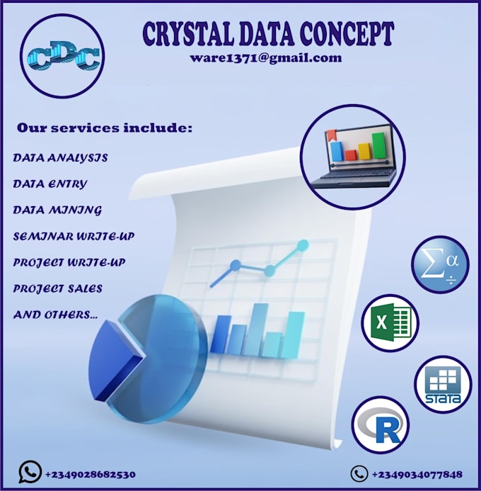 Manage and perform data entry by Crystal1371 | Fiverr