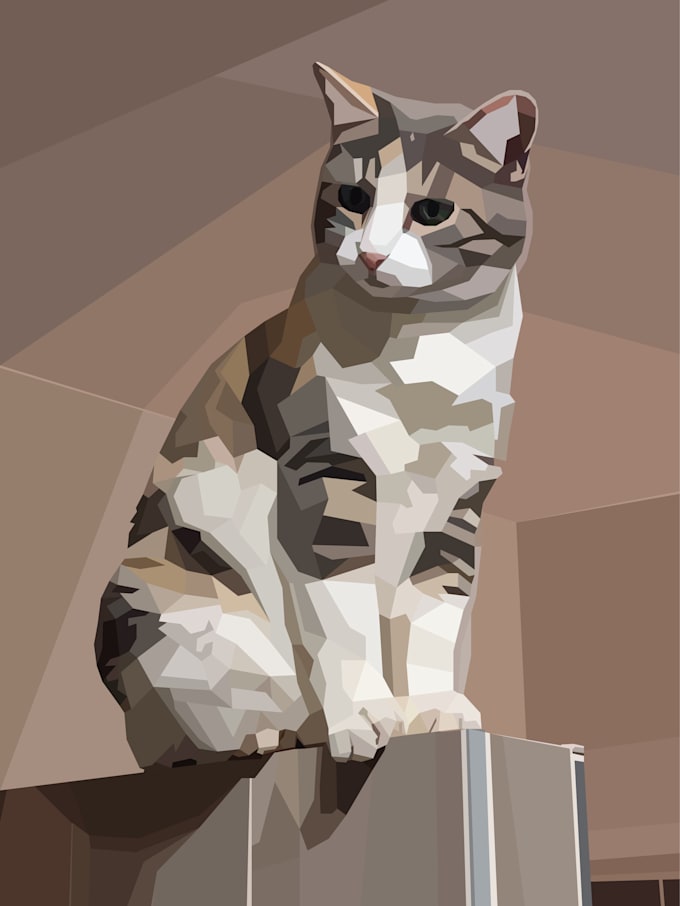 Transformer une image en polygone