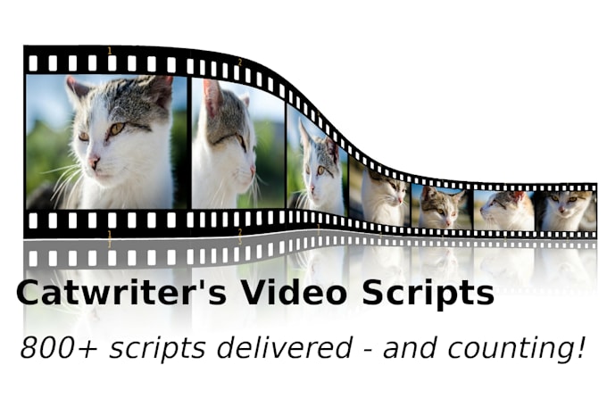 Write you a 1 minute video script by Catwriter | Fiverr