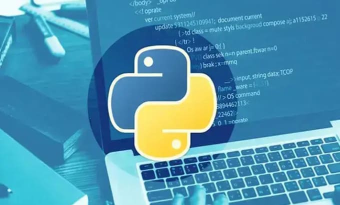 Do small python code projects by Xtarii | Fiverr Do small python code projects by Xtarii | Fiverr