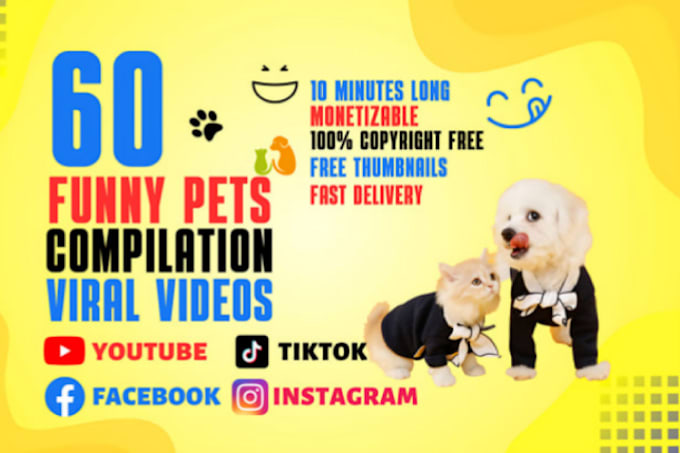 Create funny and cute animals compilations for youtube in 24hr by ...