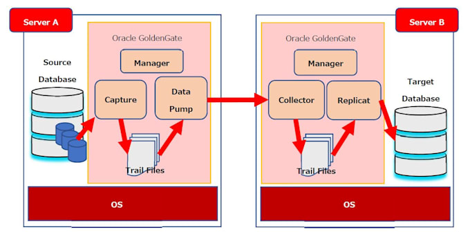 Do oracle database related works by Senthilkumara84 | Fiverr