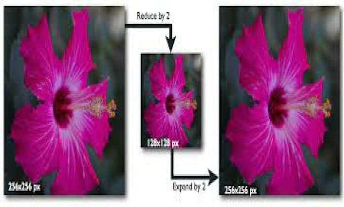 Resize images, rename image and crop image within 2hours by Bazghasohaib | Fiverr
