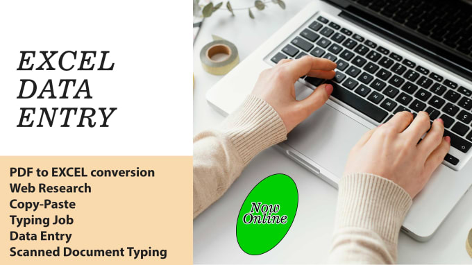 Do excel data entry, pdf to excel data entry, any type of data entry by ...