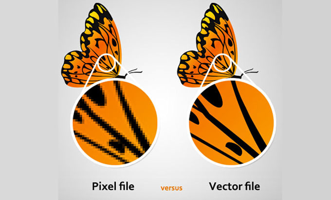 Convert Images To Vector Ai Eps Svg Cdr And Pdf By Omar Khlifi4 Fiverr