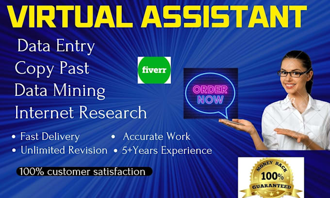 Be your virtual assistant for data entry data mining by Akbor1991 | Fiverr