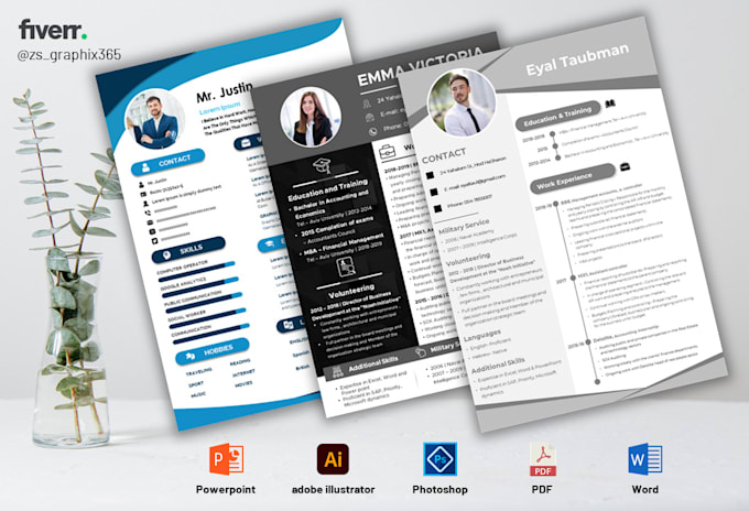 Professionally craft resumes, cvs, cover letters, and optimize linkedin profiles by Zs ...