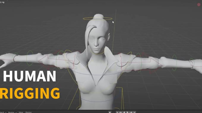 Add 3d rig to your 3d character on blender by Rajediter555 | Fiverr