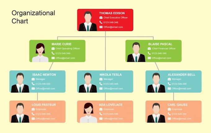 Prepare an organogram or process flows for your company by Royal_ascent ...