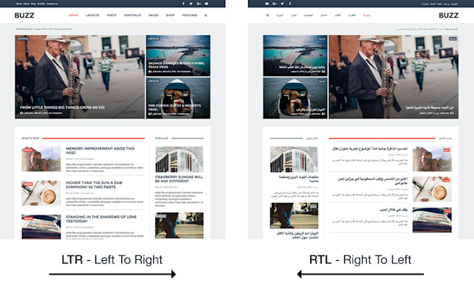 Change your wordpress website from ltr to rtl and vice versa by Moshene11 | Fiverr