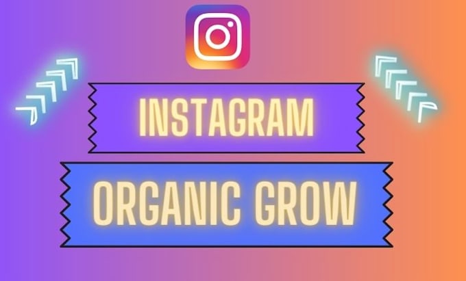 Manage Your Instagram Profile For Fast Organic Growth And Engagement By