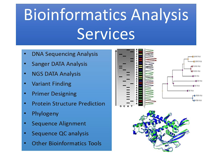 Give professional bioinformatics, dna sequencing and protein analysis ...