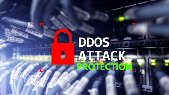 Provide professional ddos protection service by Neerajsihag9 | Fiverr
