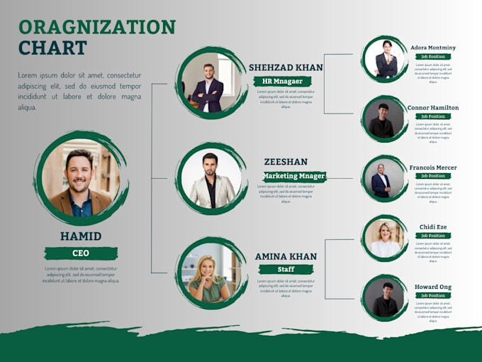 Create effective organizational chart for your business by Ridamuqadas693 | Fiverr