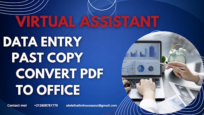 Do excel data entry, copy paste, web research, data entry by Houssaoui ...