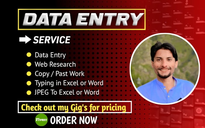 Work as your data entry virtual assistant for 2 hours in by Mrramzan630 ...