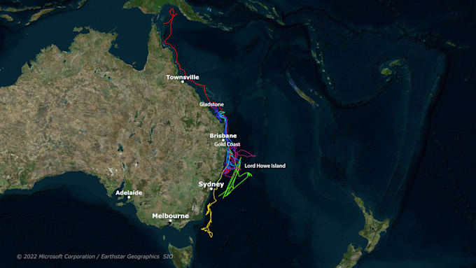 Create animal routes or travel paths map video by Alexdb83 | Fiverr