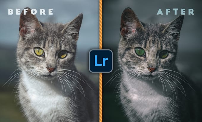 Professionally edit your photos and color grade in lightroom by ...