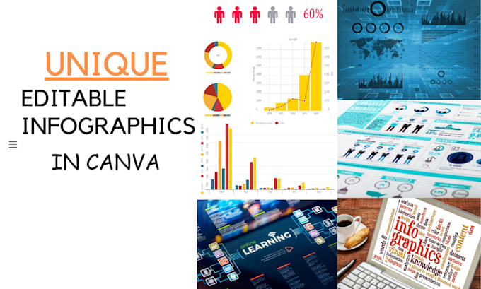 Design unique, professional canva infographic design by Adilzahoor428 ...