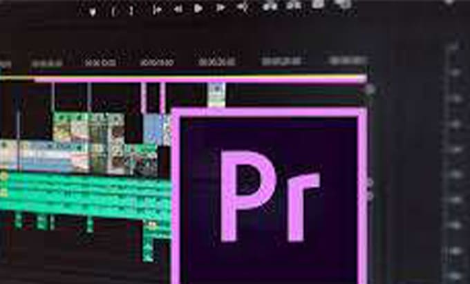 Edit your video using premiere pro by Maxvanetten | Fiverr
