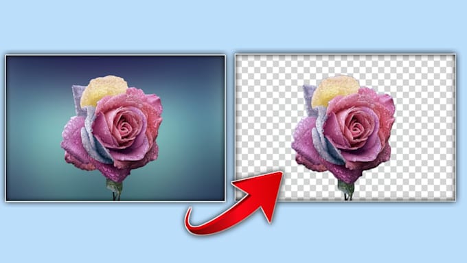 Background remove object, white, transparent, before time by ...