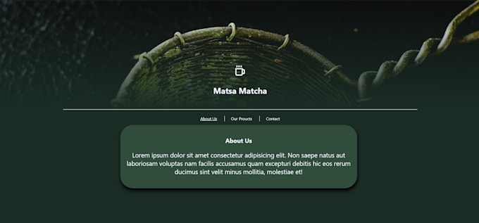 Design you a website in html and css by Stenkaal | Fiverr