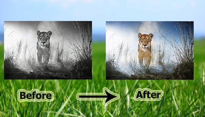 Color the colorless photos by Kpremasiriprema | Fiverr