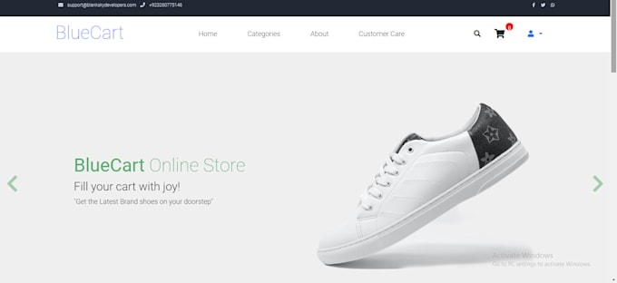 Be your full stack and php web developer by Blankskydevs | Fiverr