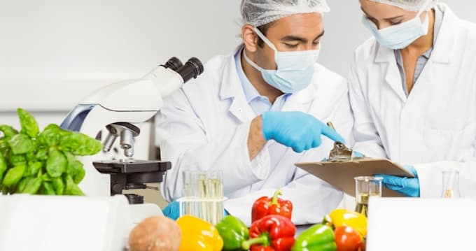 Help create food product formulation by Fmpascual | Fiverr